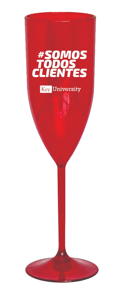 Customer Success Bootcamp – KeyUniversity – KeyUniversity Customer Success Bootcamp – KeyUniversity – KeyUniversity